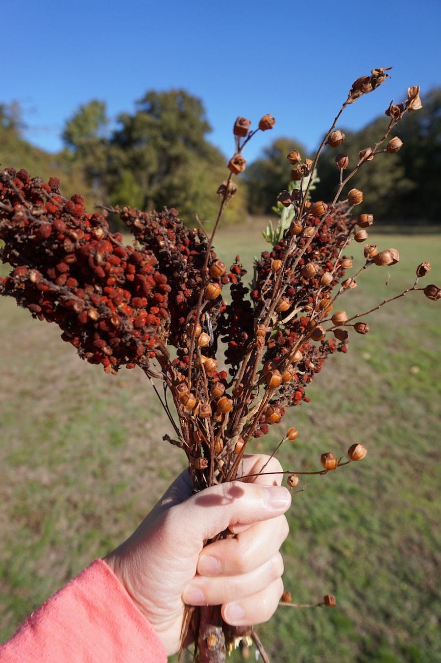 Things to do at the lake in the Fall | Porches & Pastures